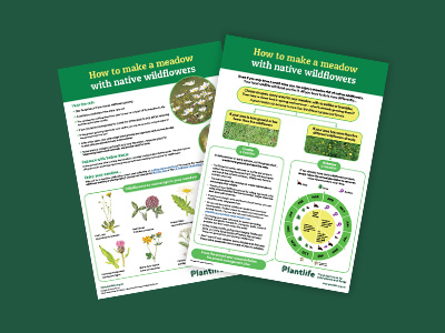 Plantlife's No Mow May Movement