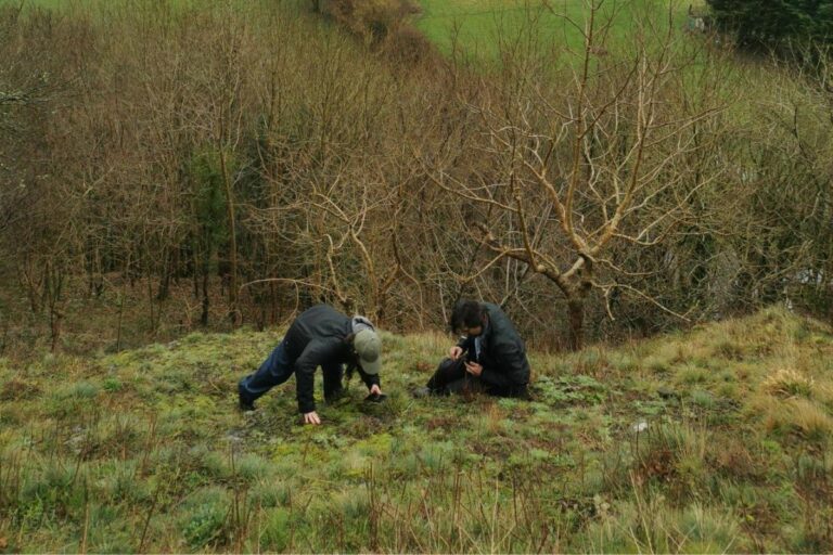 Natur am Byth! - Plantlife