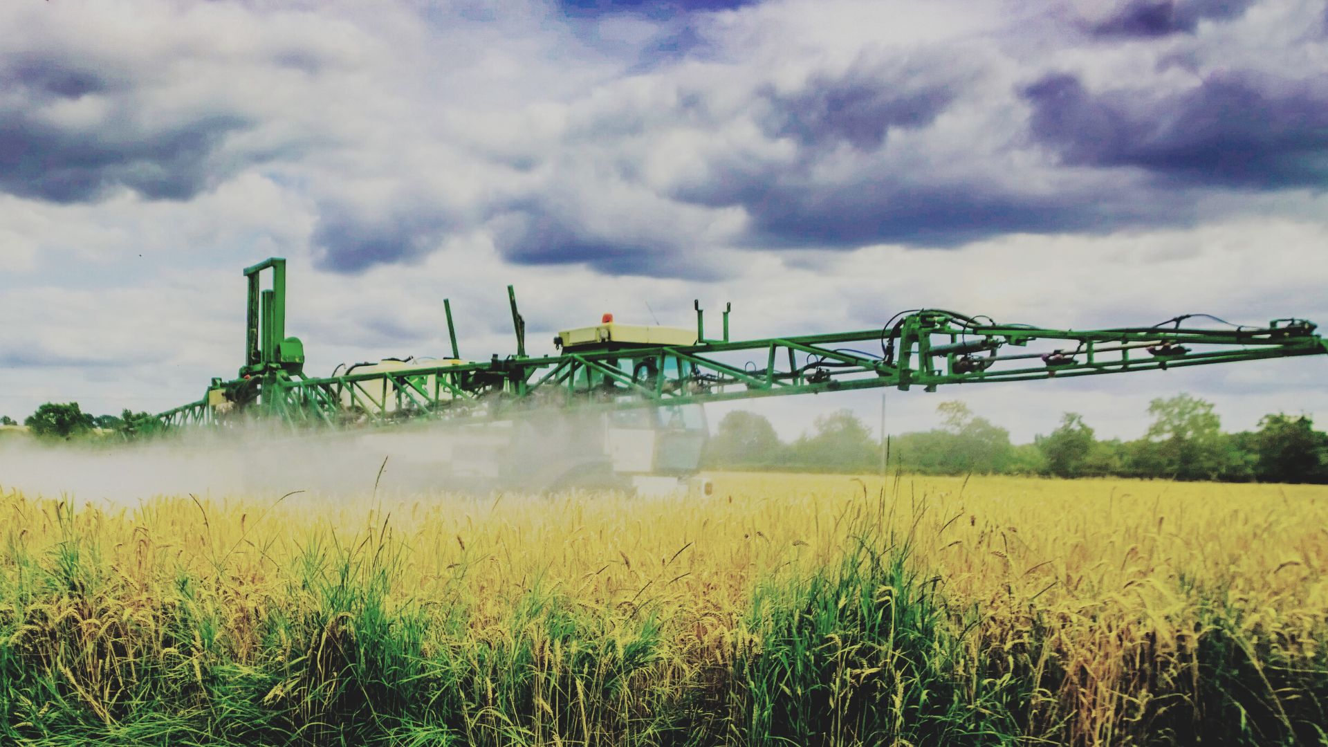Remembering Calan Mai: Wales' Traditional May Day Festival - Plantlife