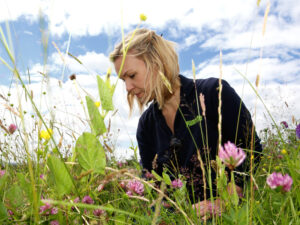 NPMS National Plant Monitoring Scheme - Plantlife