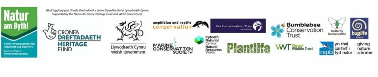 Natur am Byth! - Plantlife