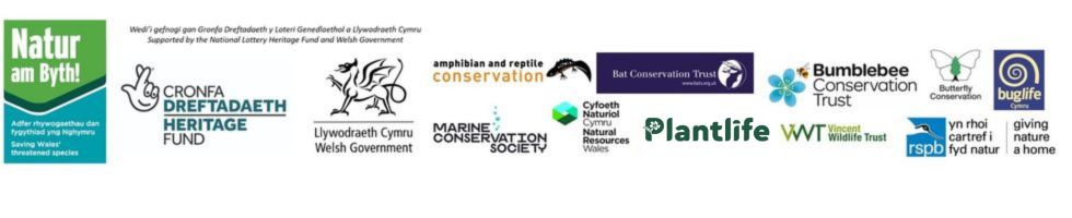 Natur am Byth! - Plantlife