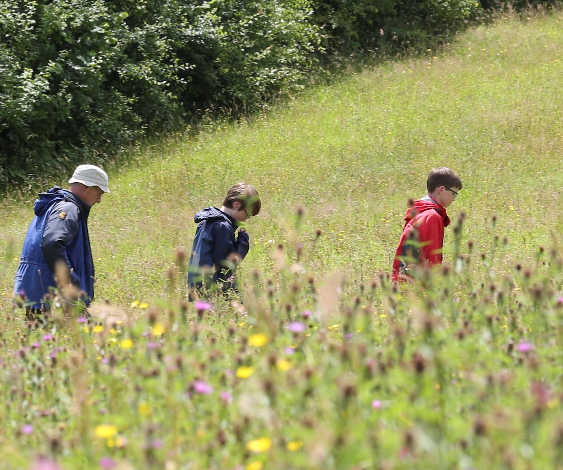 Porthkerry Park National Meadows Day Event - Plantlife