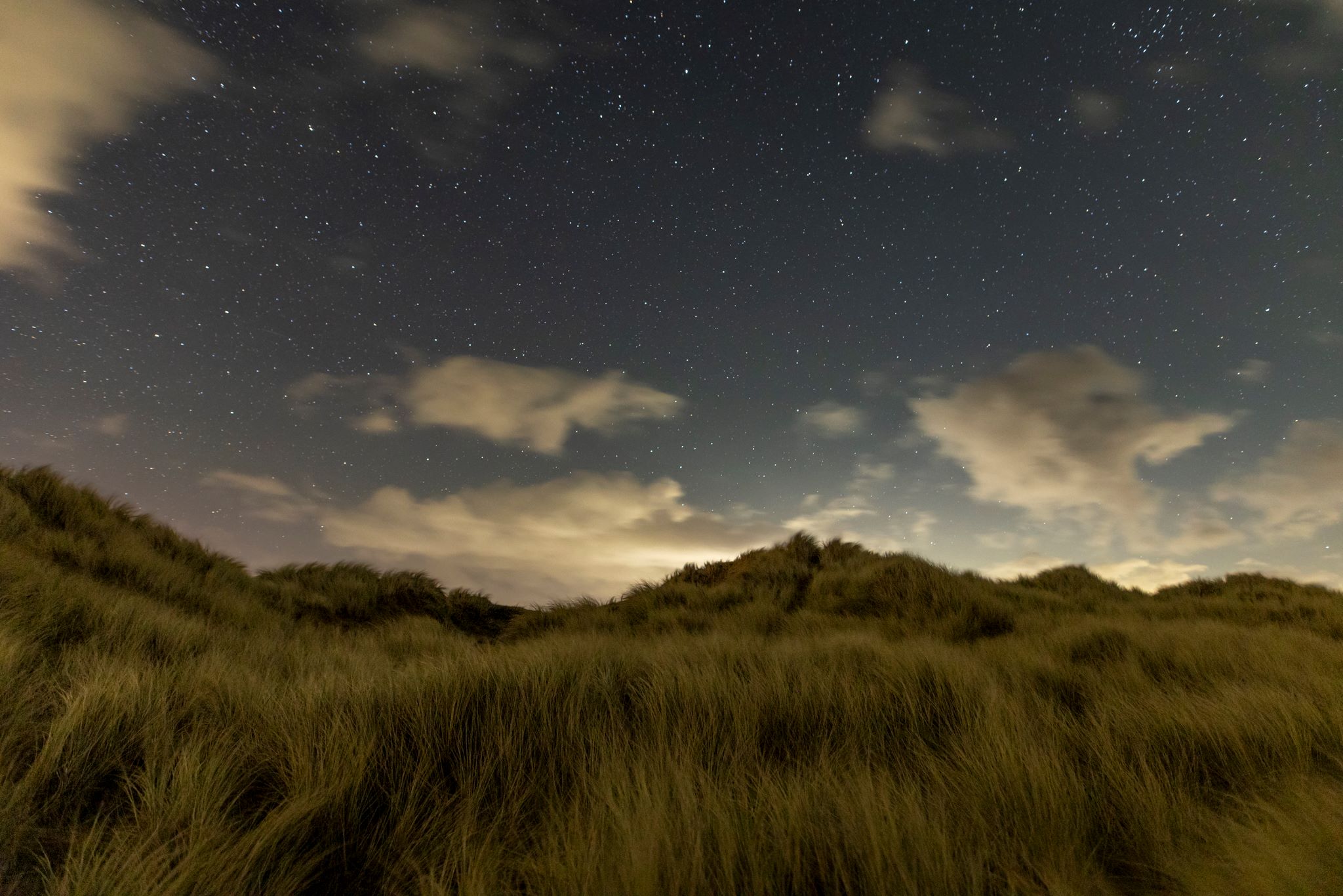 Dynamic Dunescapes Project - Wales - Plantlife