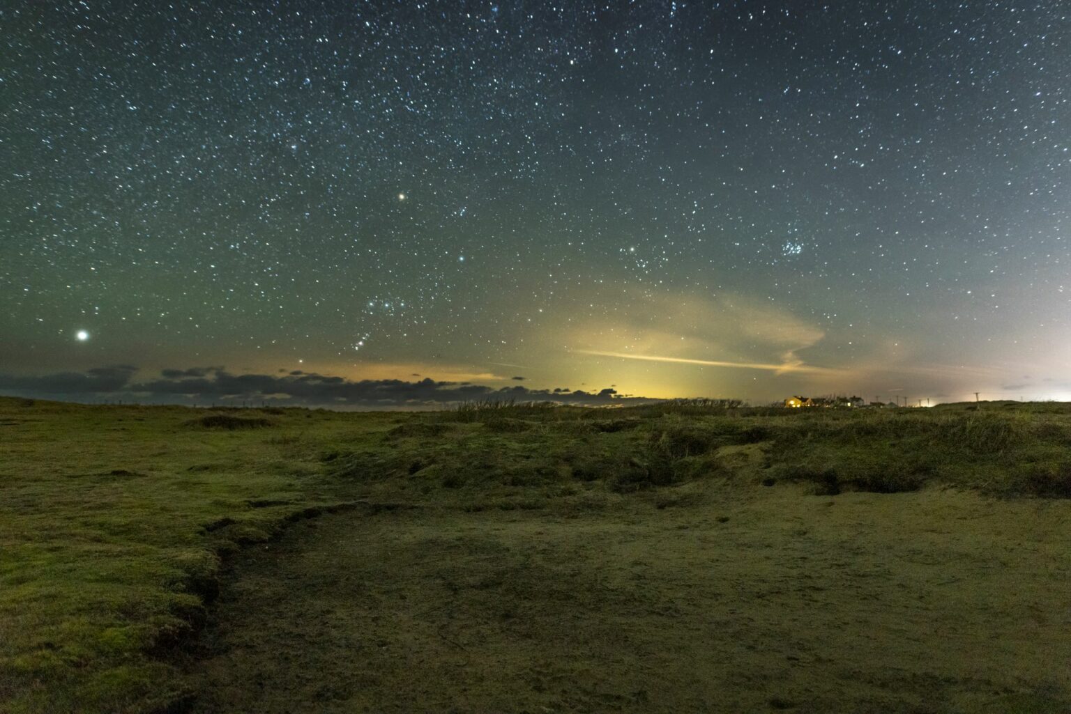Dynamic Dunescapes Project - Wales - Plantlife