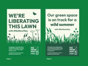 Plantlife's No Mow May Movement