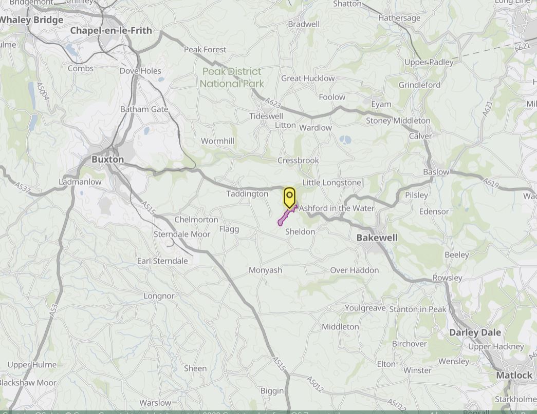 Deep Dale Nature Reserve - Plantlife