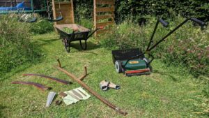 Let it Bloom June: What Happens After No Mow May? - Plantlife