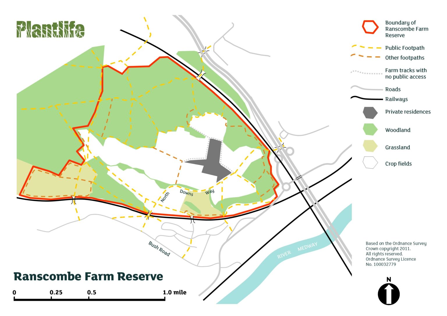 Ranscombe Farm Nature Reserve - Plantlife
