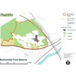 Ranscombe Farm Nature Reserve - Plantlife