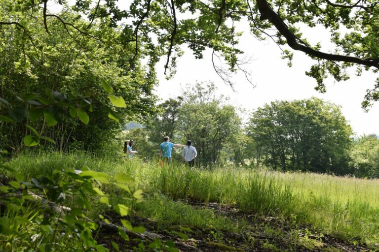 Ranscombe Farm Nature Reserve - Plantlife