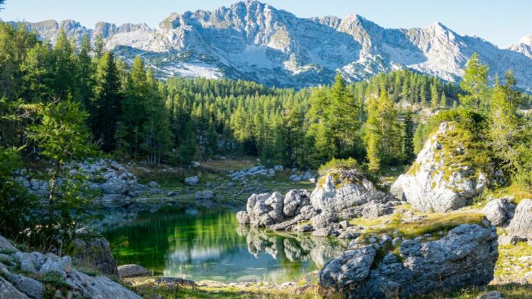 Important Plant Areas - Slovenia - Plantlife