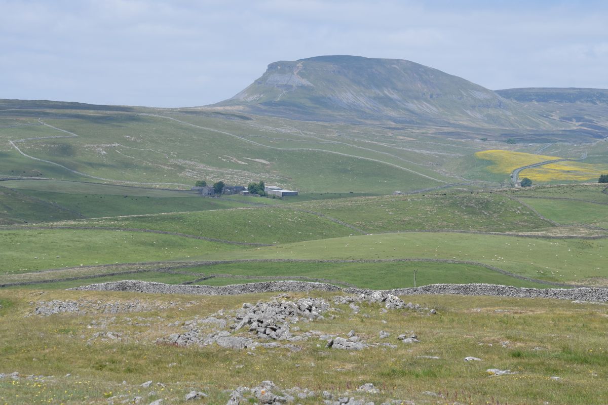 Winskill Stones Nature Reserve - Plantlife