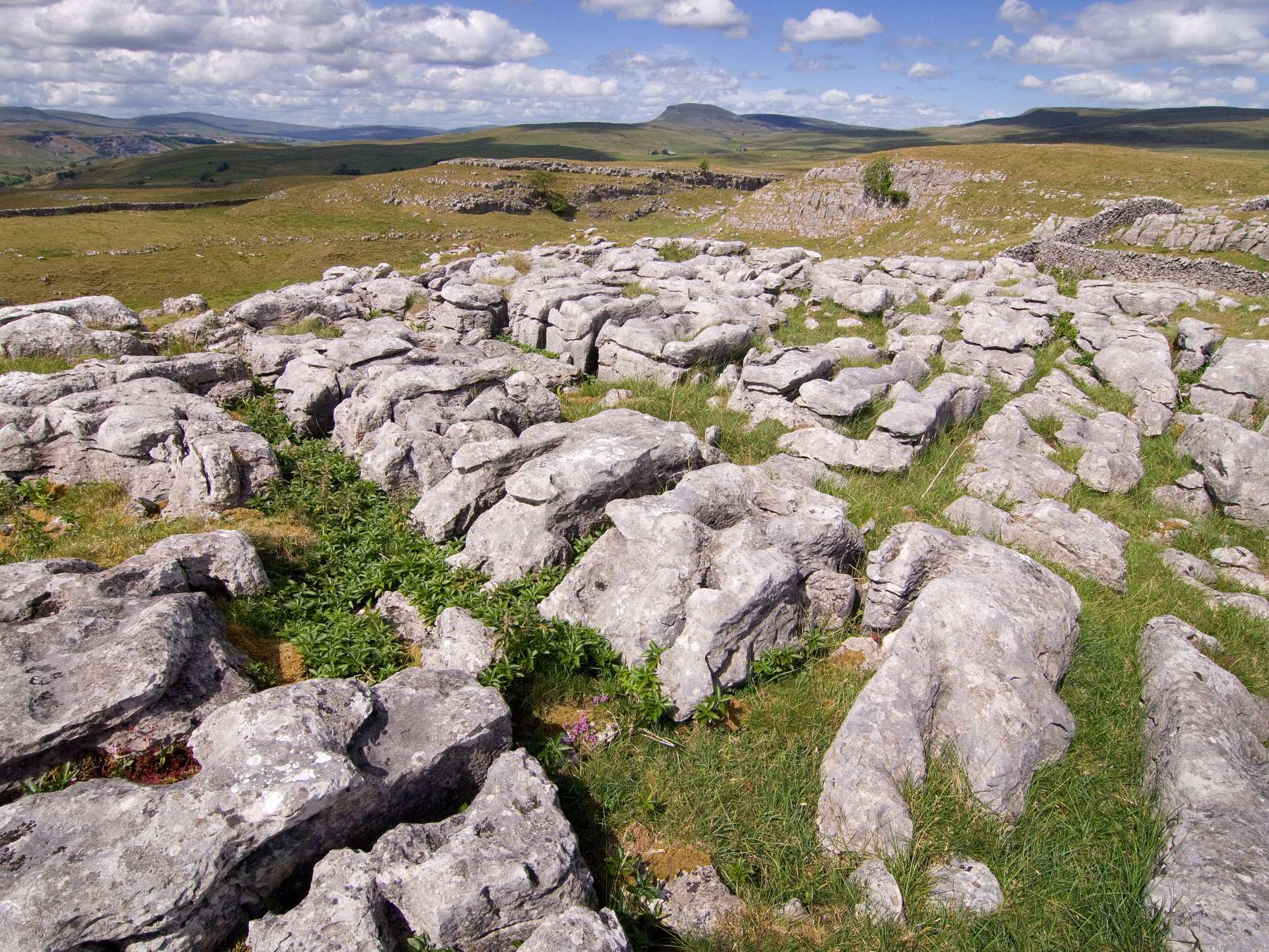 Winskill Stones Nature Reserve - Plantlife