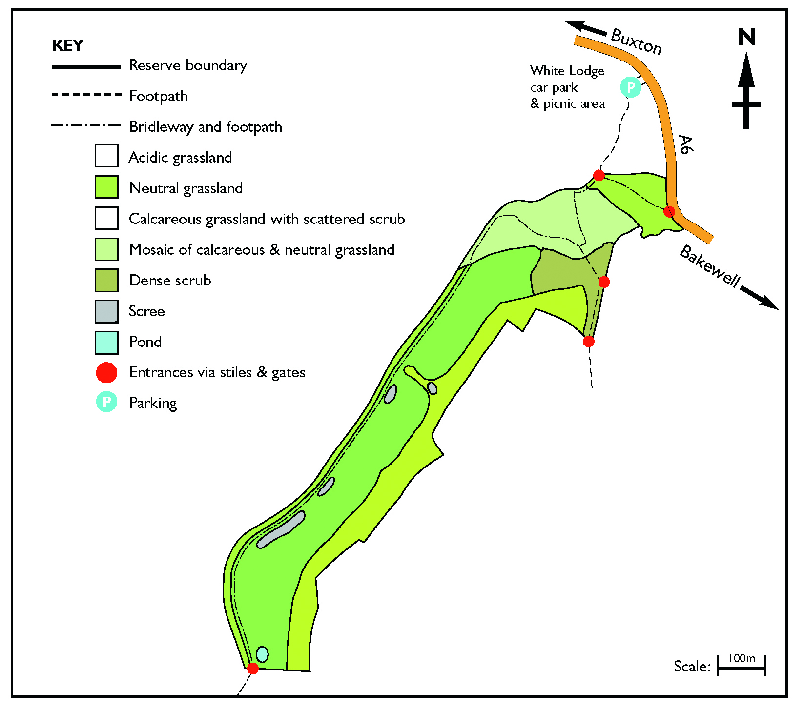 Deep Dale Nature Reserve - Plantlife
