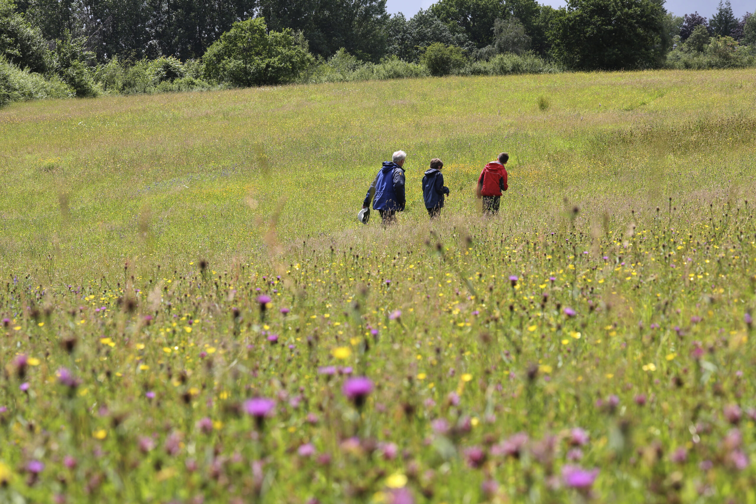 Explore the Outdoors - Plantlife