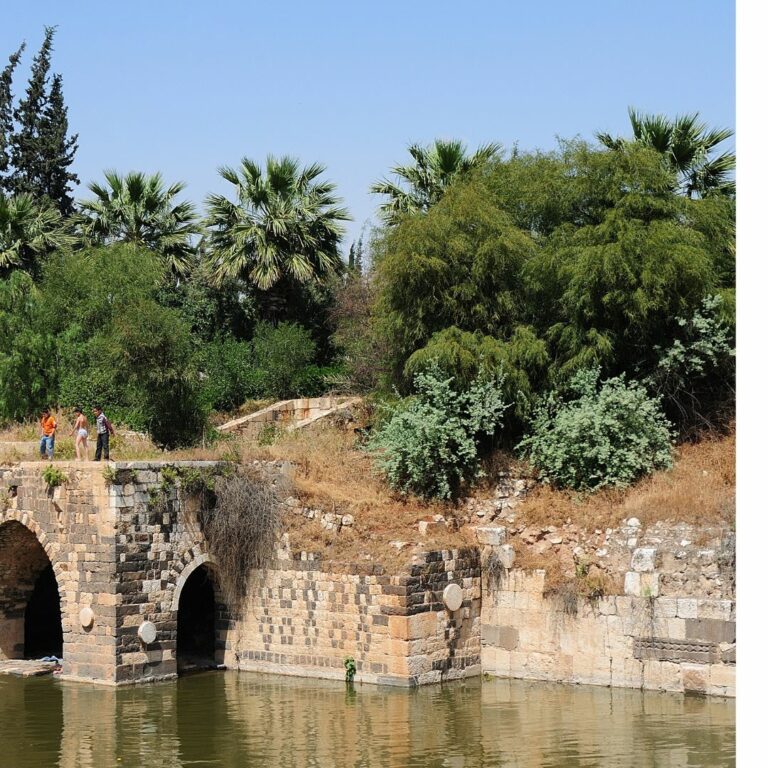 Important Plant Areas of Syria - Plantlife