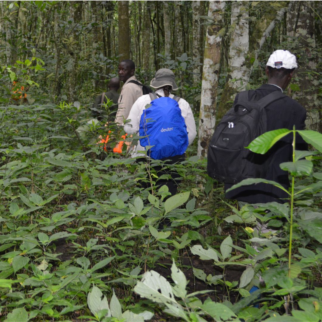 Important Plant Areas of Uganda - Plantlife