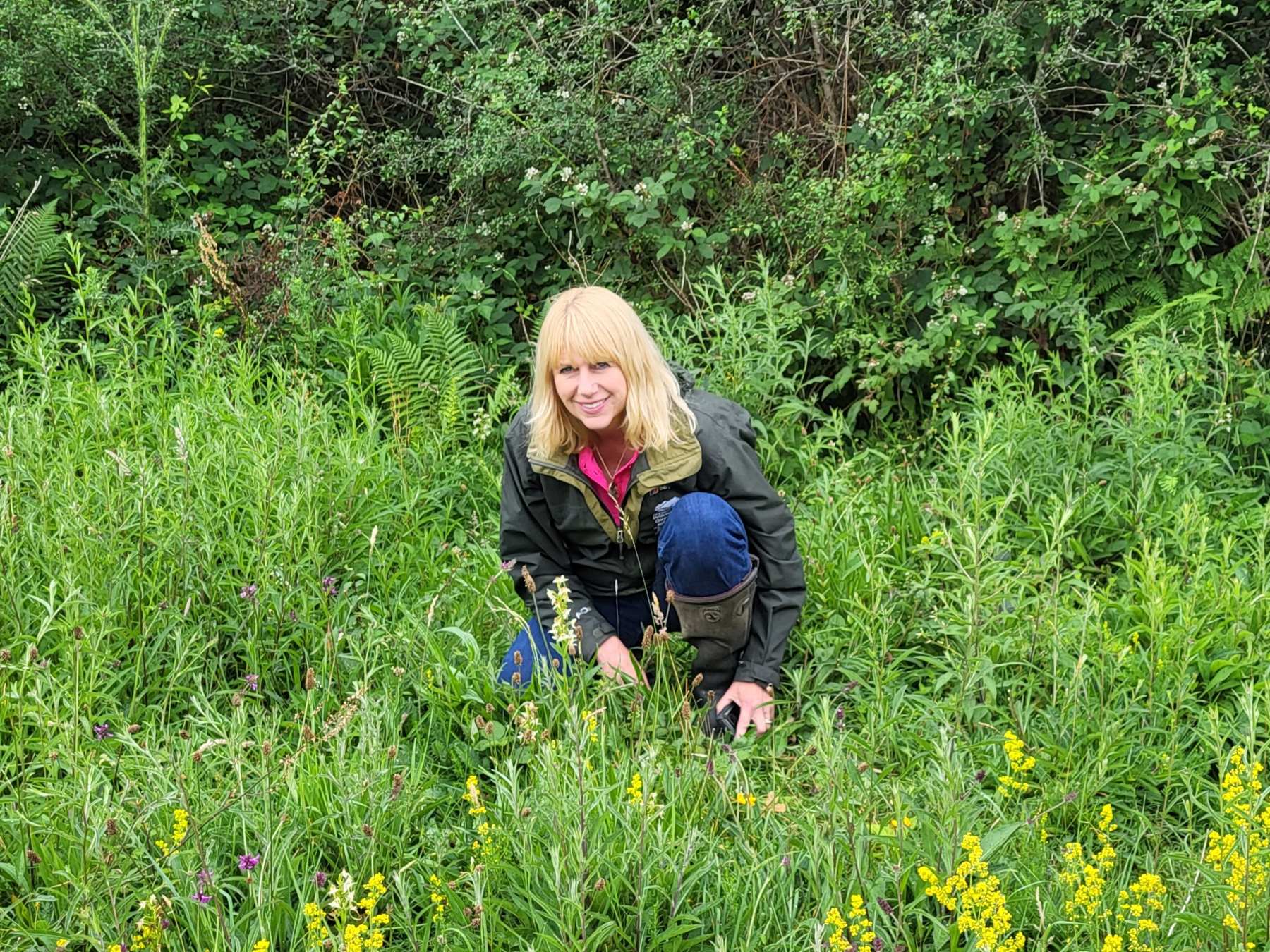 Welsh Species Champions: Carolyn Thomas MS - Plantlife