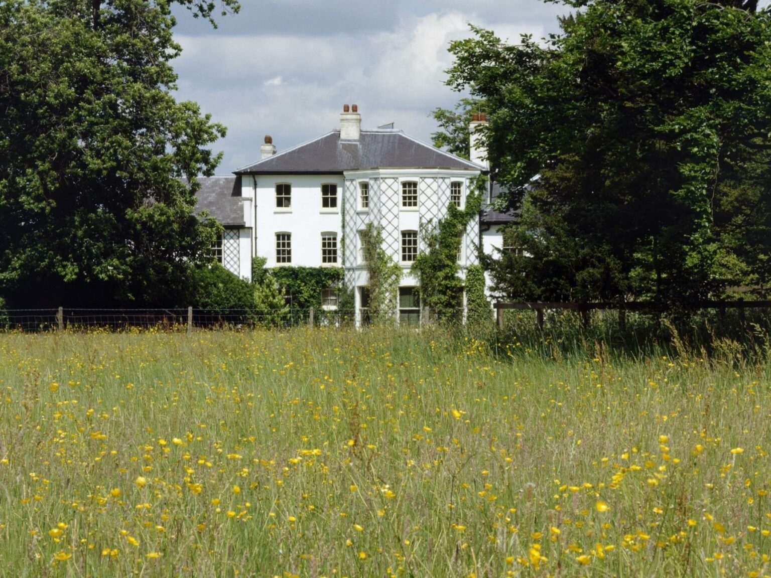 The King's Meadow Project - Plantlife