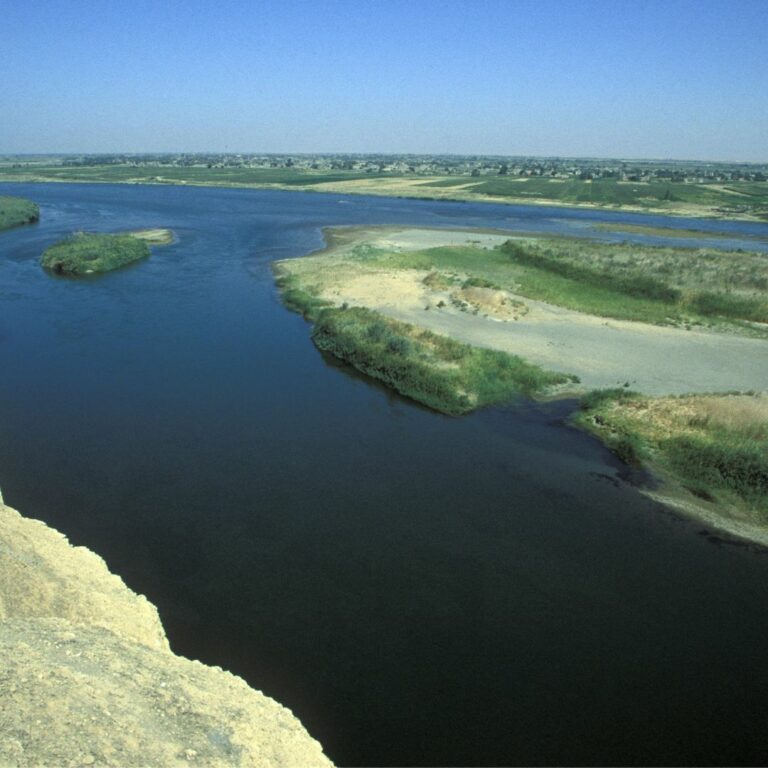 Important Plant Areas of Syria - Plantlife