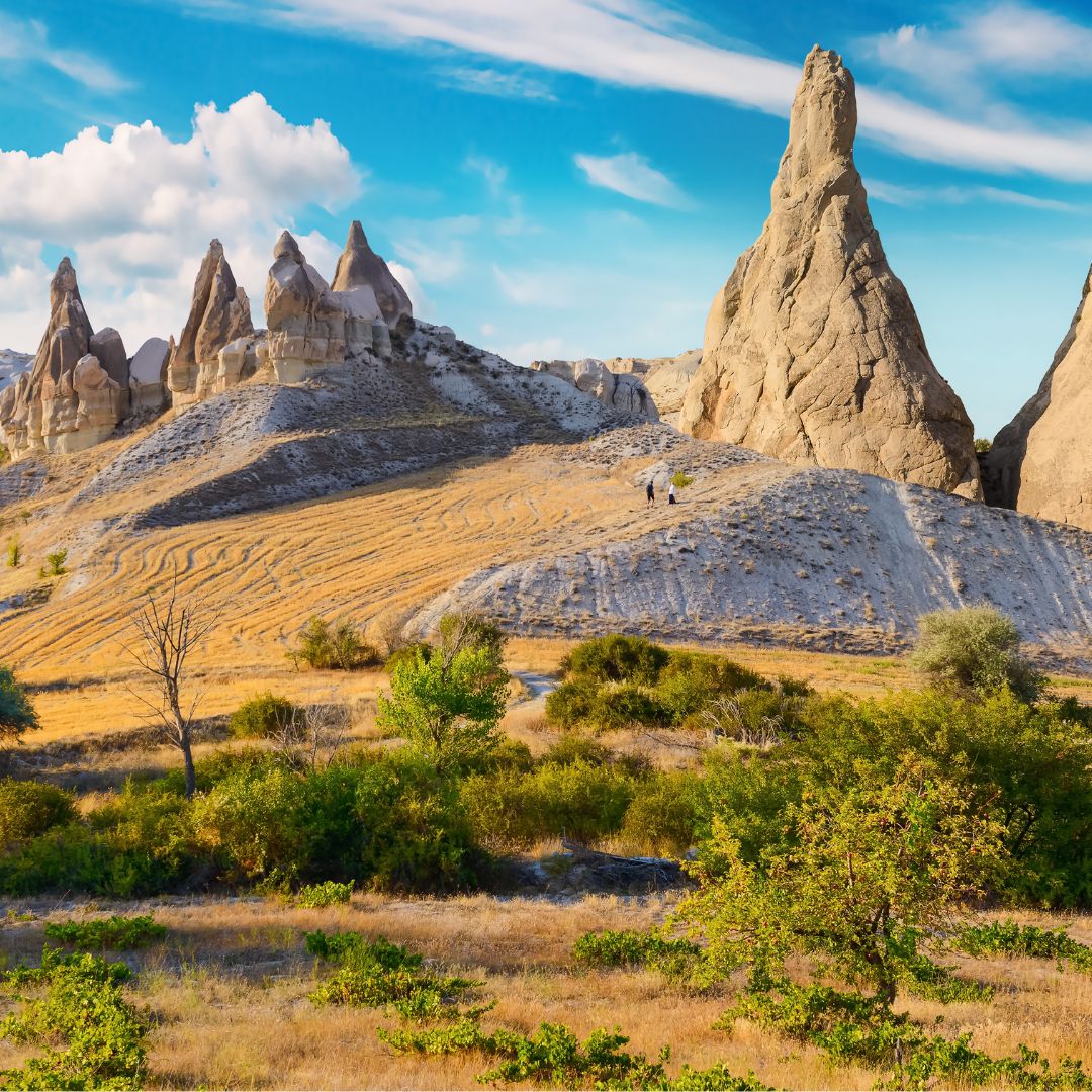 Important Plant Area (IPA) - Plantlife