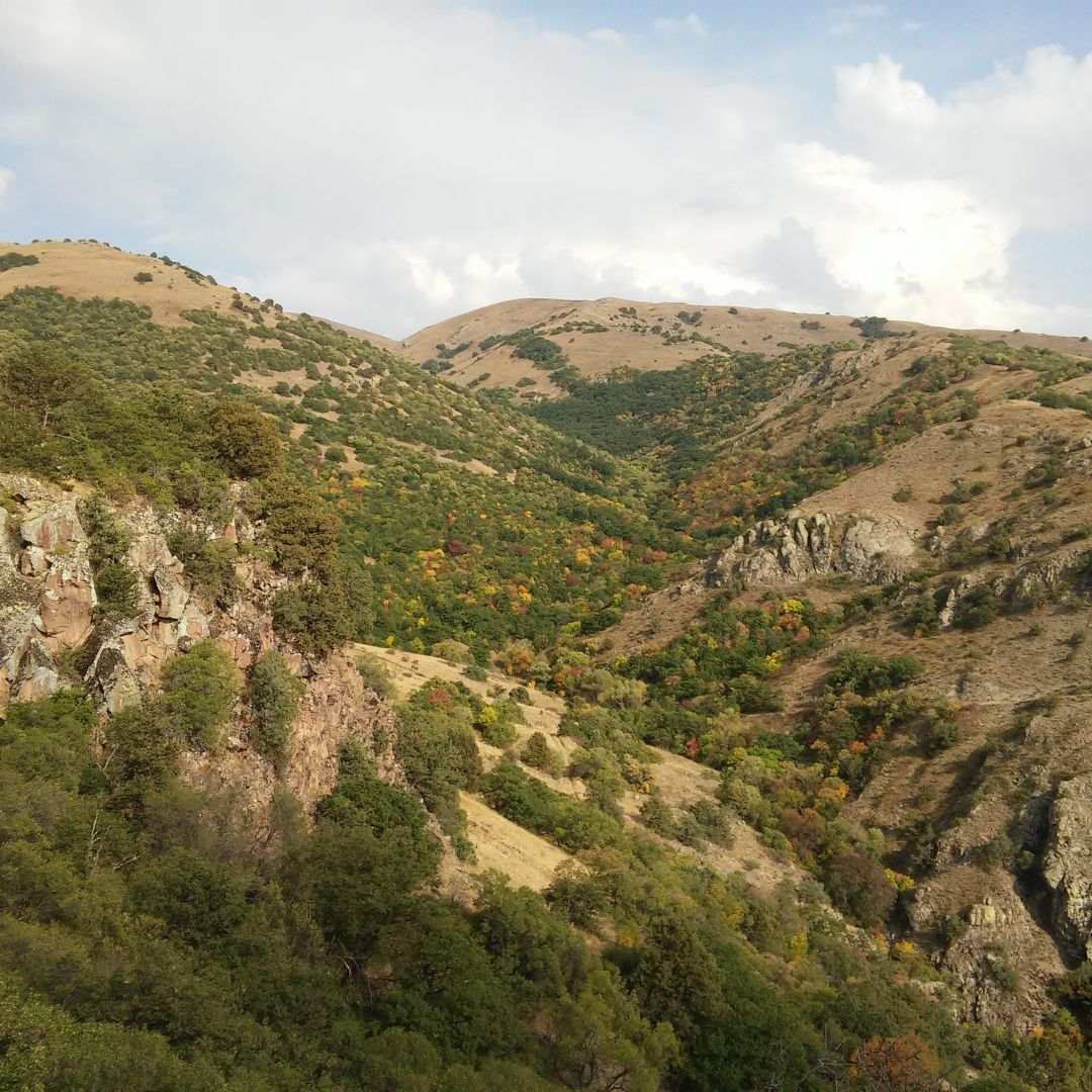 Important Plant Areas of Armenia - Plantlife