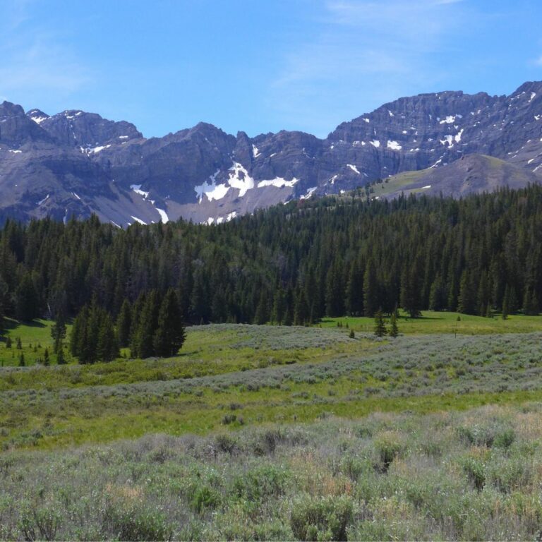Important Plant Areas of Montana - Plantlife