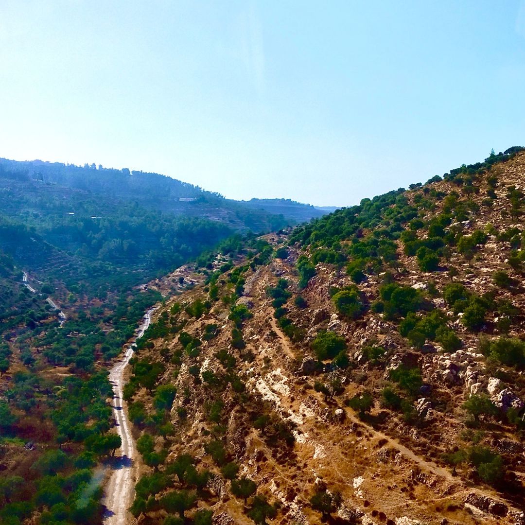 Important Plant Areas in Palestine - Plantlife