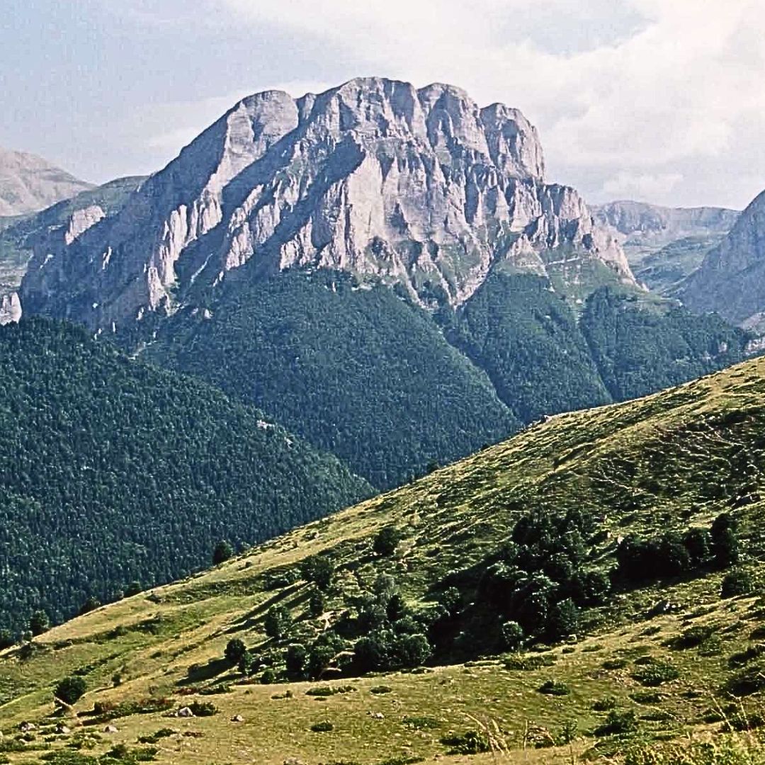 Important Plant Areas of North Macedonia - Plantlife