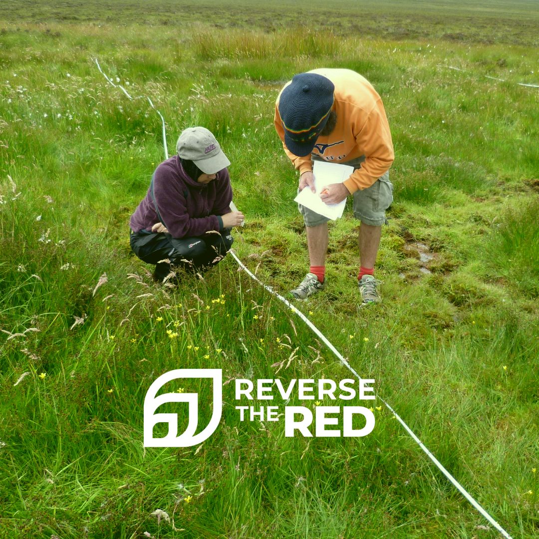 Reverse the Red - Plantlife