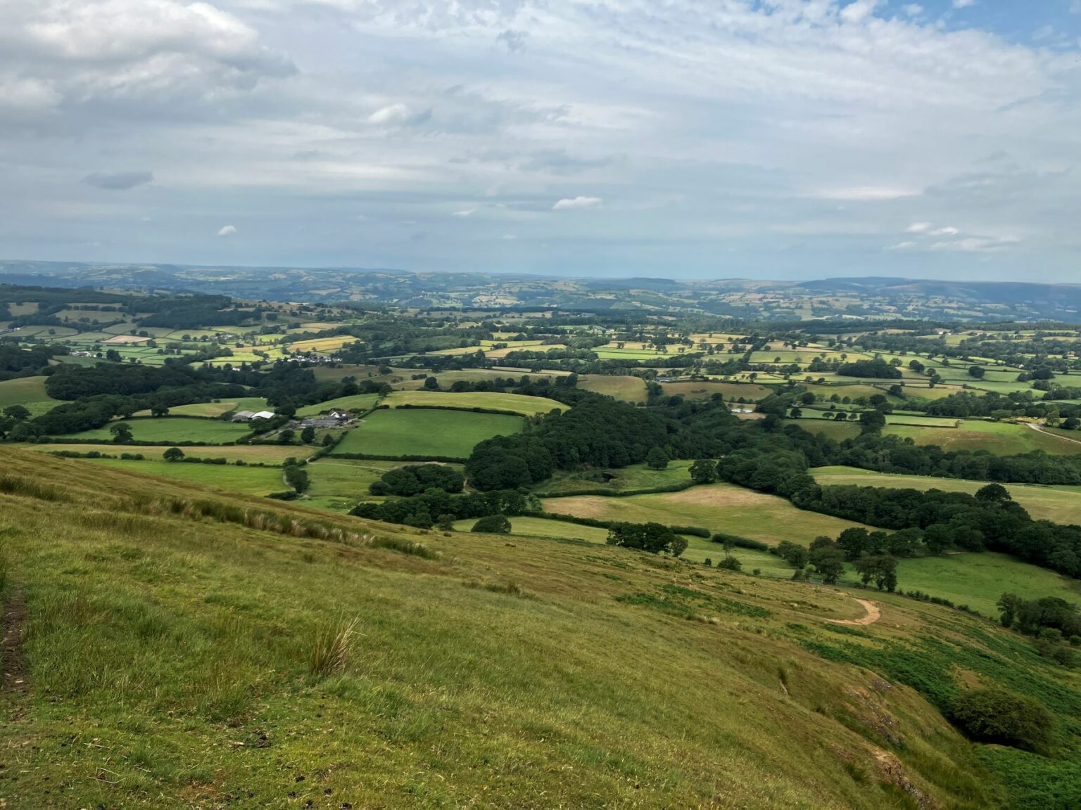 How to Buy Biodiversity Net Gain Units – How BNG Works - Plantlife