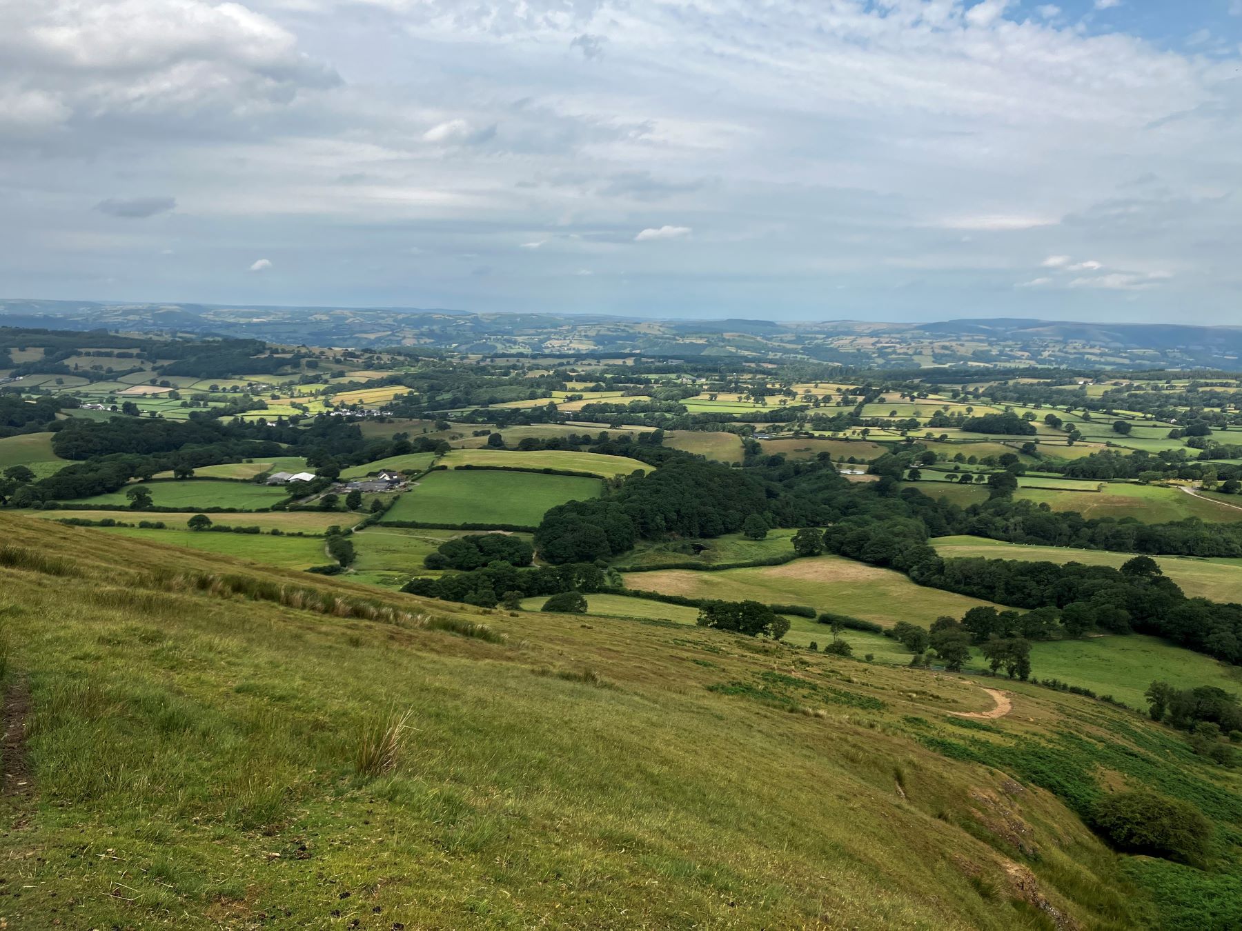 How to Buy Biodiversity Net Gain Units – How BNG Works - Plantlife