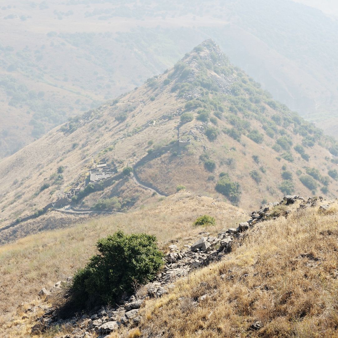 Important Plant Areas of Israel - Plantlife