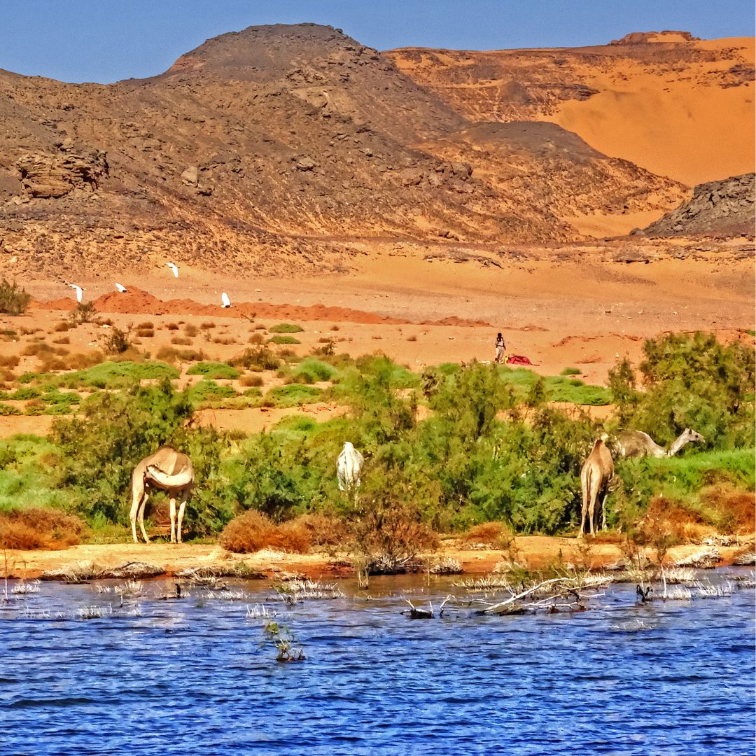 Important Plant Areas of Egypt - Plantlife