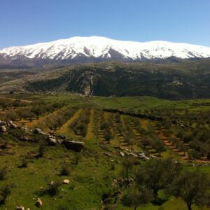 Important Plant Areas of Lebanon - Plantlife