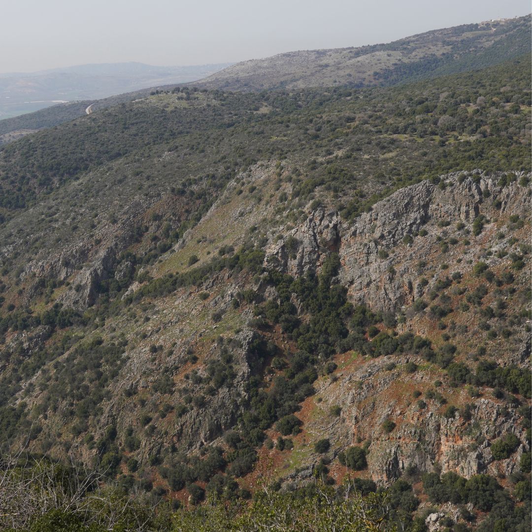 Important Plant Areas of Lebanon - Plantlife