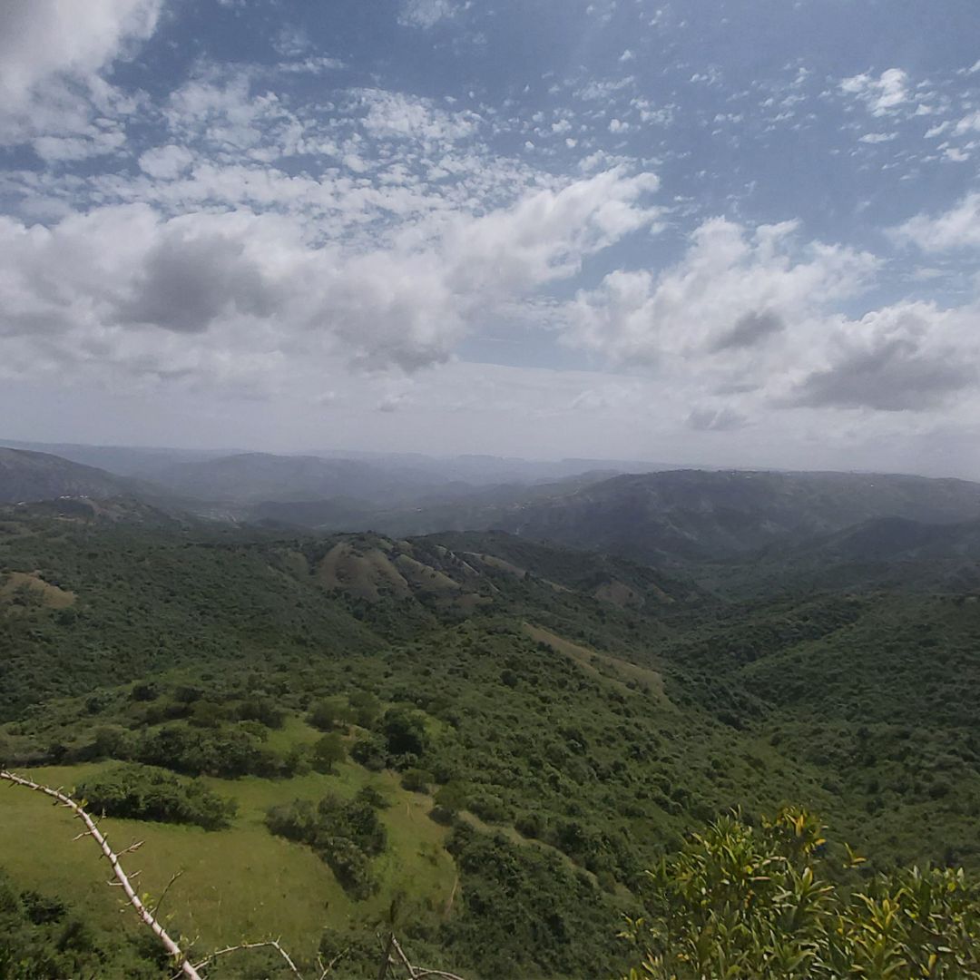 Important Plant Areas of South Africa - Plantlife