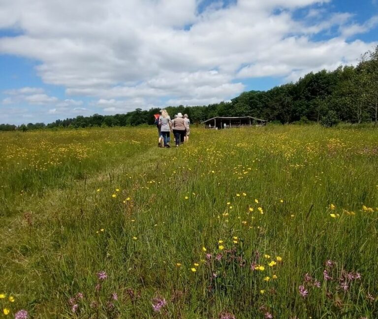 How you can get Involved in Nature Conservation - Plantlife