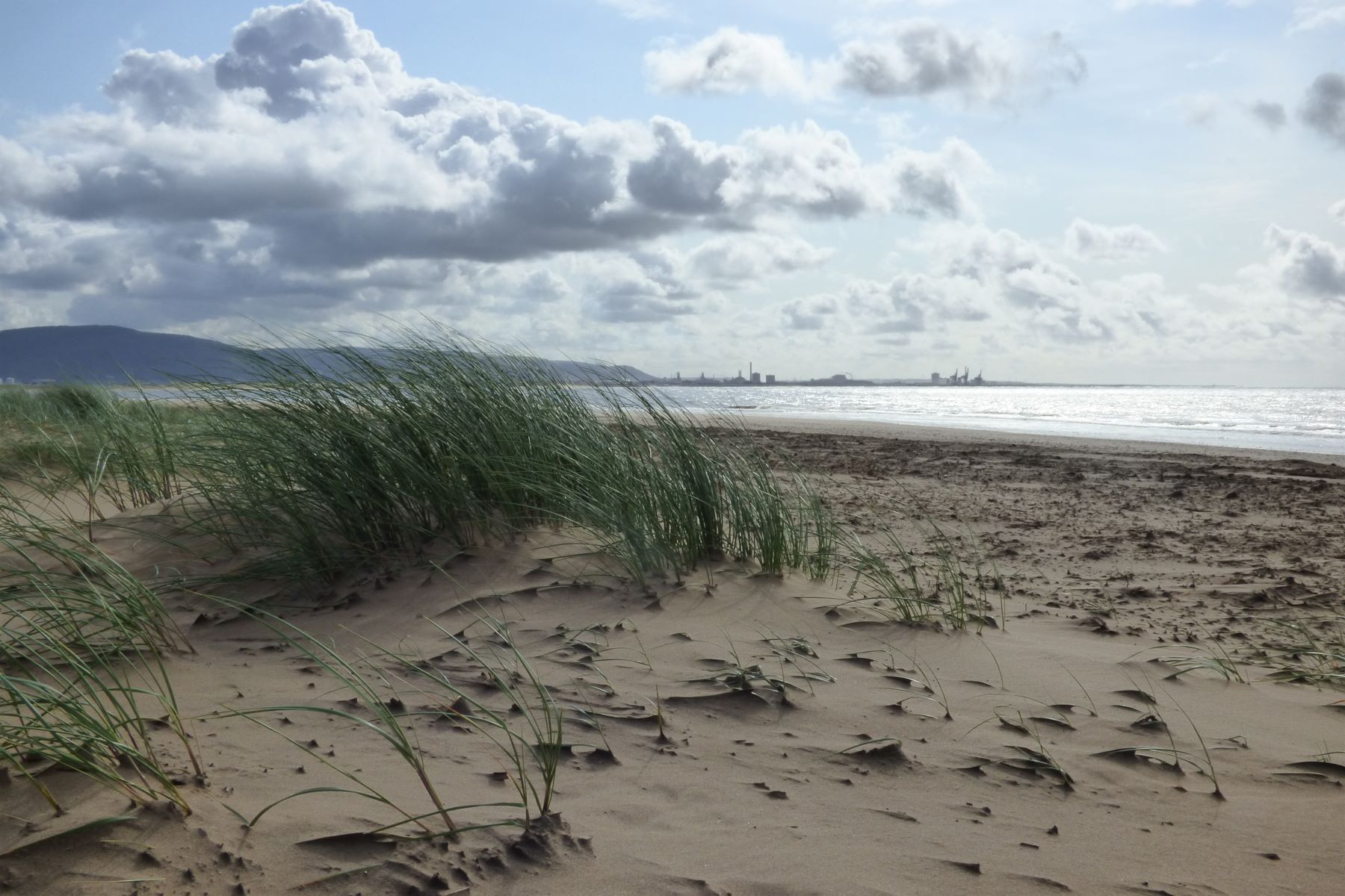 Locally-inspired Sculpture Unveiled at Crymlyn Burrows SSSI - Plantlife