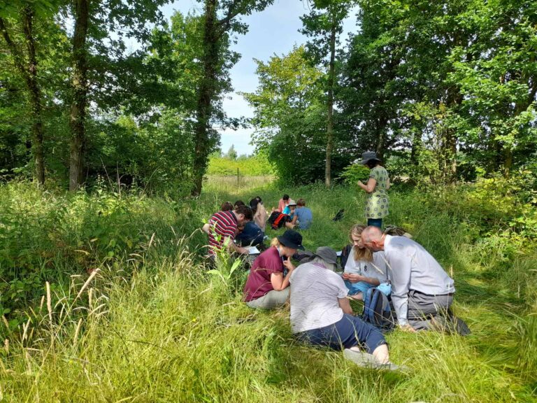 Remembering Calan Mai: Wales' Traditional May Day Festival - Plantlife