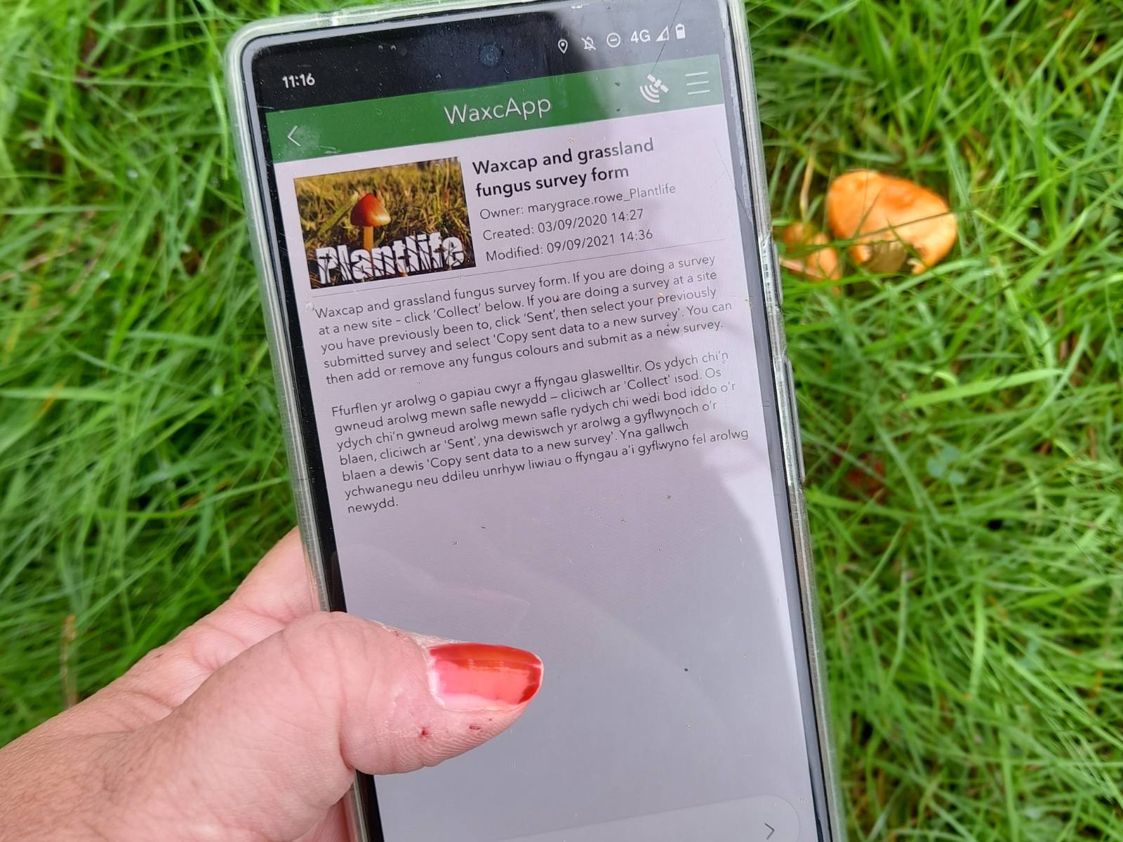 Farming and fungi: : A waxcap journey on a Welsh farm - Plantlife