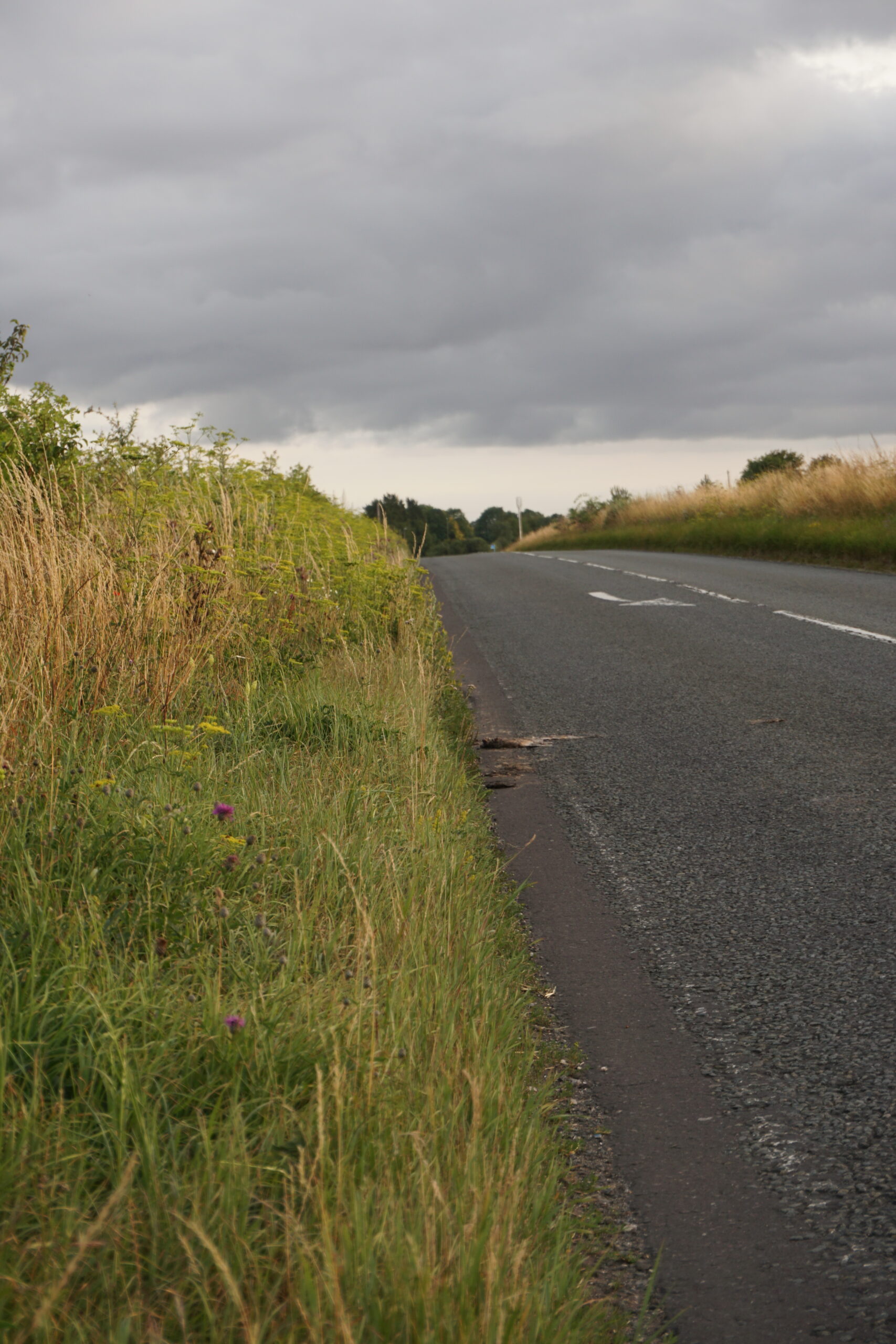 Road Verge and Green Space - Grass Cuttings - Plantlife