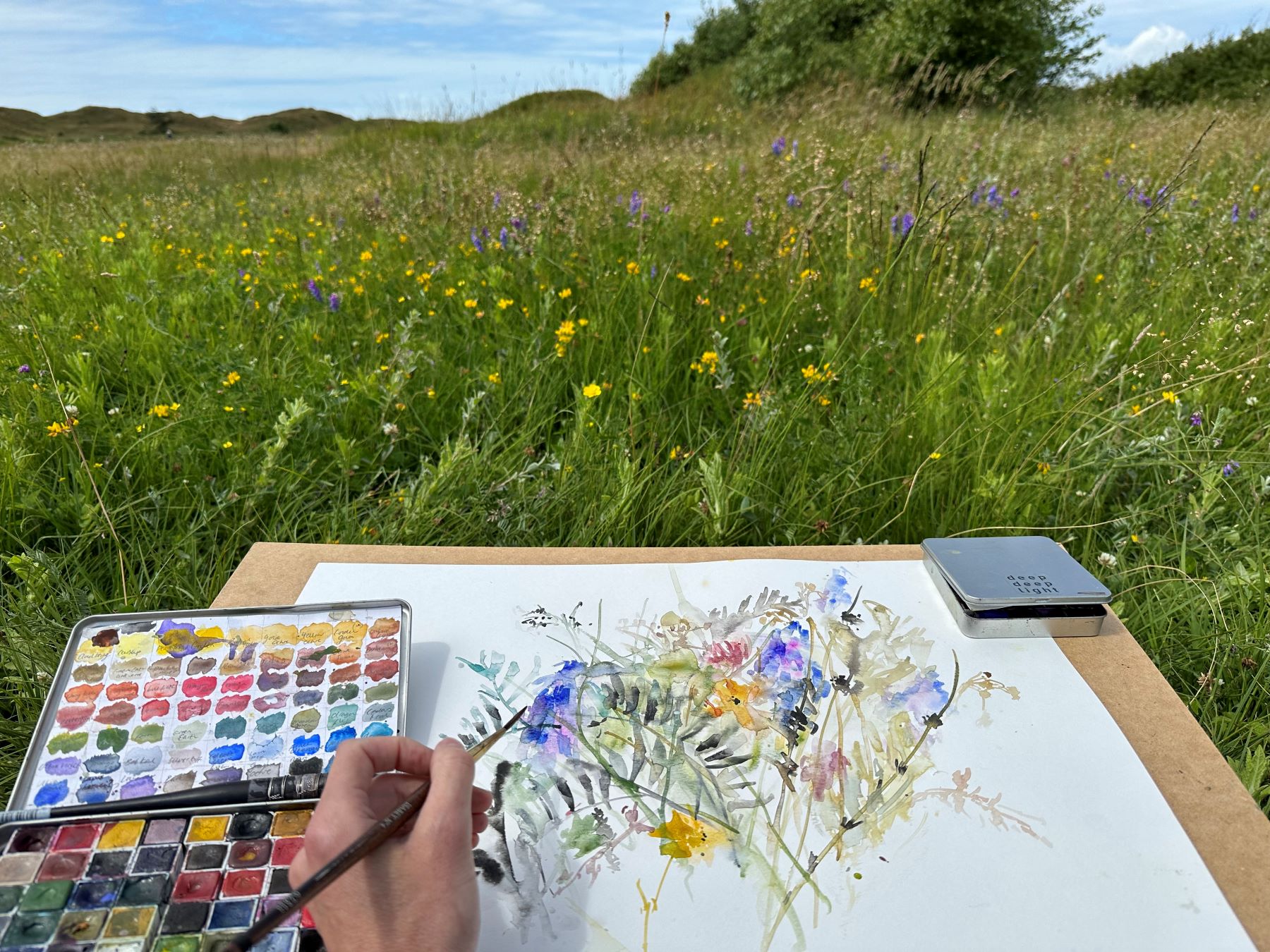 A Botanical Art Journey of Plantlife’s Reserves - Plantlife