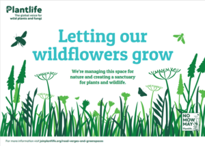 Managing Road Verges and Green Spaces - Plantlife