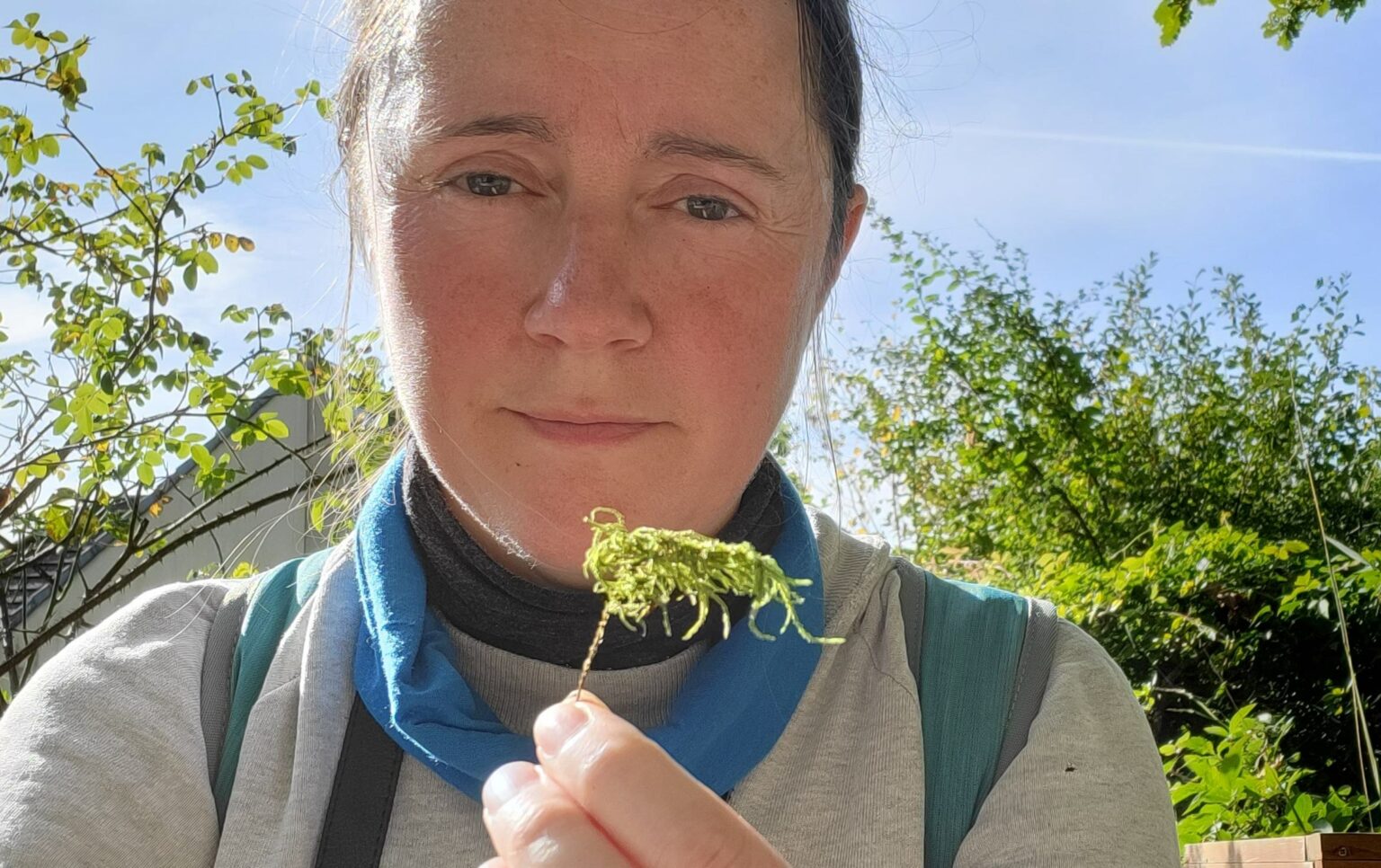 What’s that Moss: ID Tips for Beginners - Plantlife