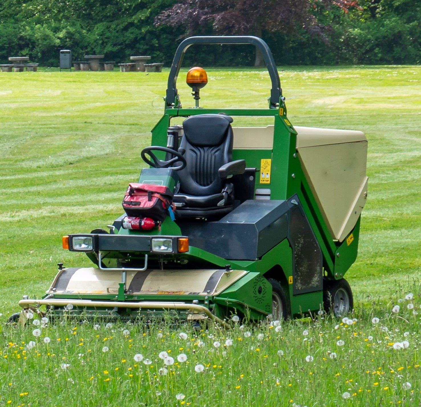Road Verge and Green Space - Grass Cuttings - Plantlife