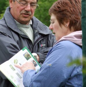 What’s that Moss: ID Tips for Beginners - Plantlife