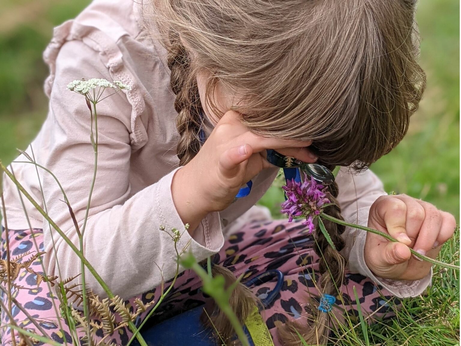 Get Closer to Nature: Guide to Using a Hand Lens - Plantlife