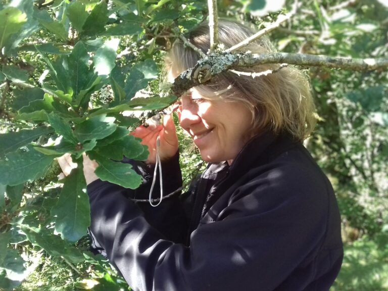 Get Closer to Nature: Guide to Using a Hand Lens - Plantlife